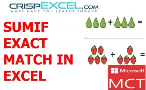 HOW TO SUMIFS EXACT MATCH IN EXCEL - CrispExcel Training & Consulting